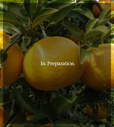 PRODUCTS - CITRUS FRUITS | Tanaka Grape Garden